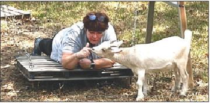 Ready! Set! GOats! The Goat Lady - The Jena Times