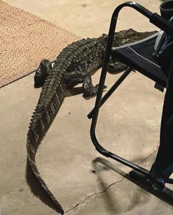 Kevin Salter - The Jena Times