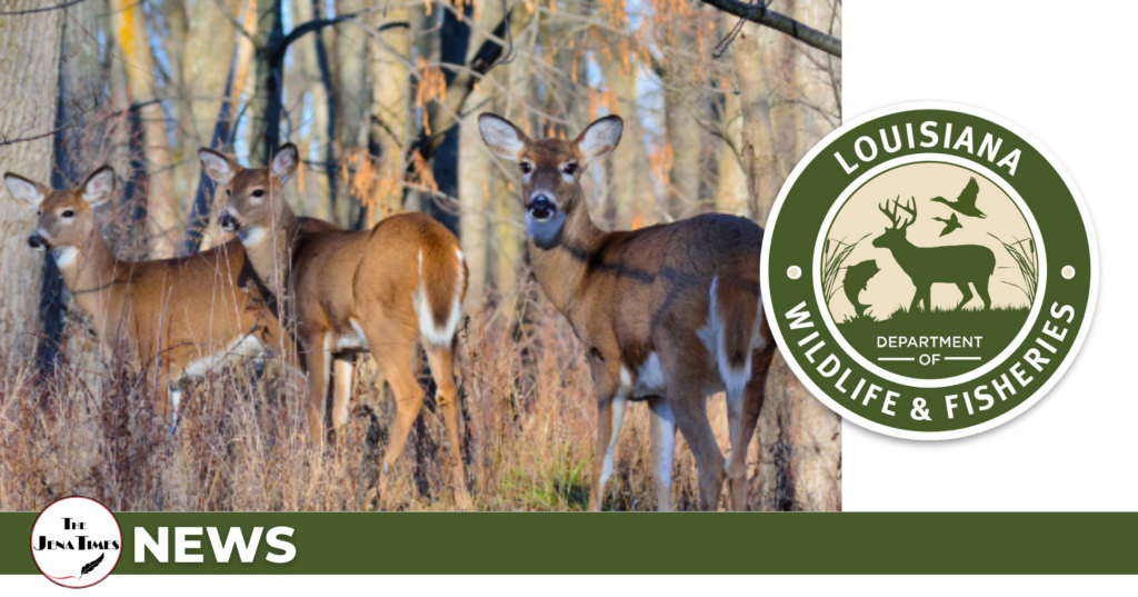 LDWF Secretary Madison Sheahan Extends Some 2024-2025 Hunting Seasons ...