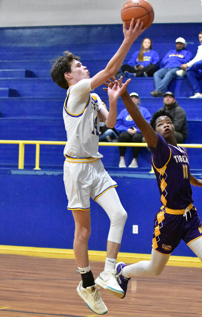 Tigers Post Season-High Points in Loss - The Jena Times